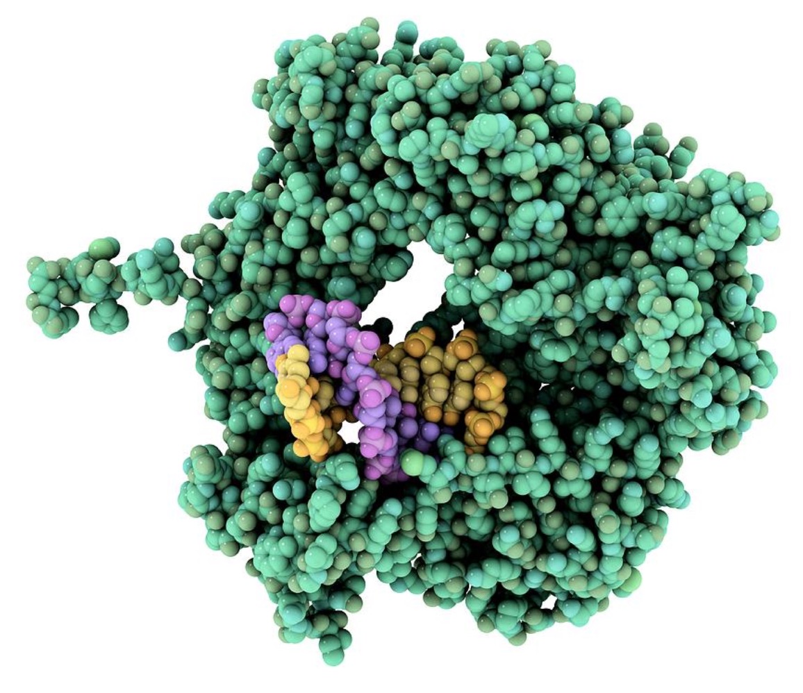 Synthetic DNA Manufacturing Company DNA Script Raises $38.5 Million