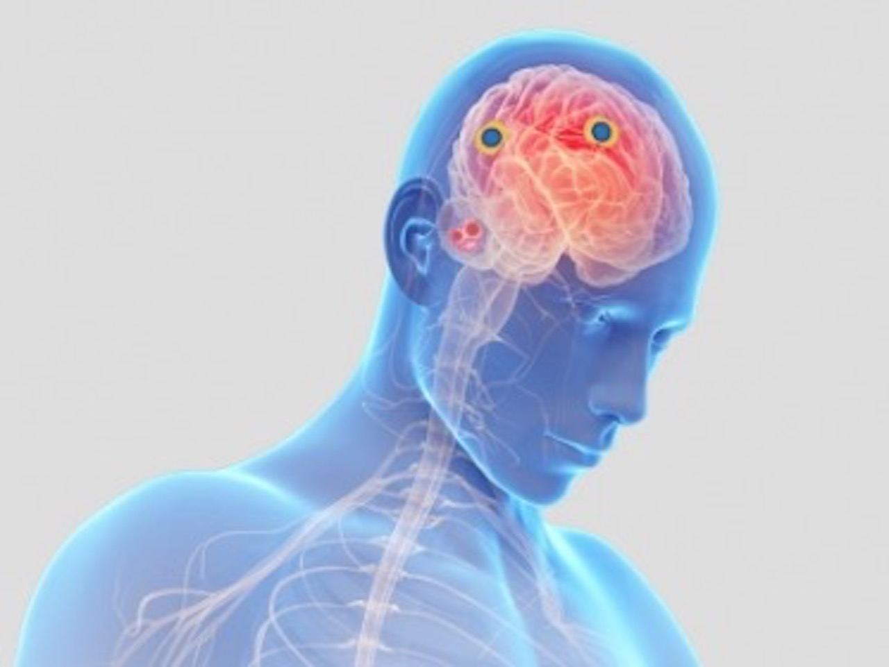 Gut-Targeted Therapeutics Company Axial Biotherapeutics Raises $10 Million