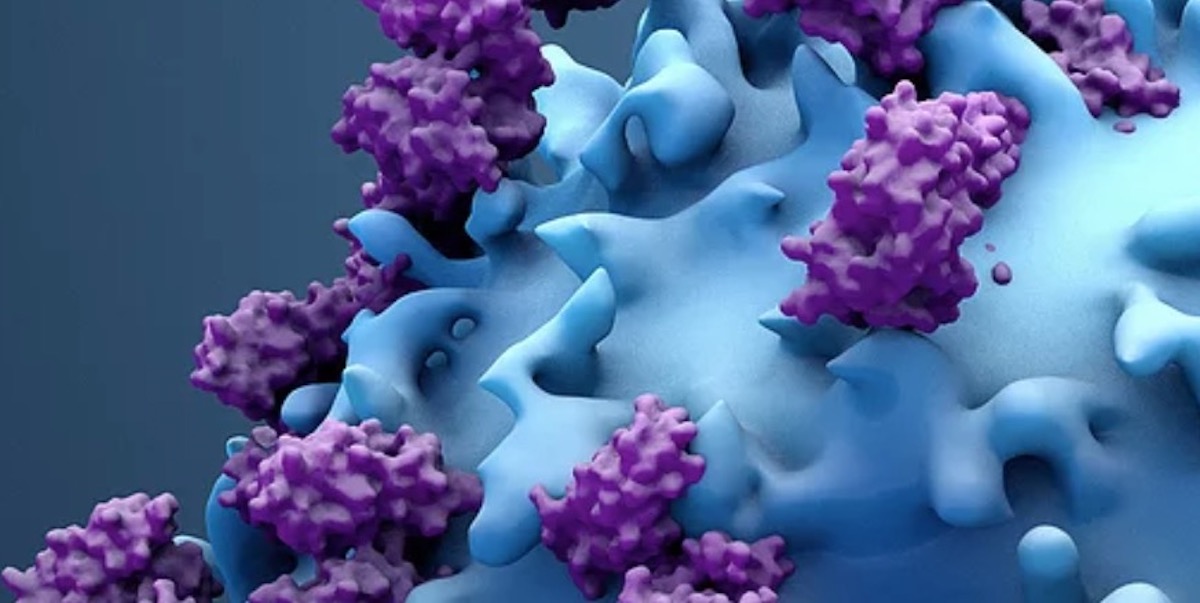 Bayer Leads $22 Million Round In Pyxis Oncology