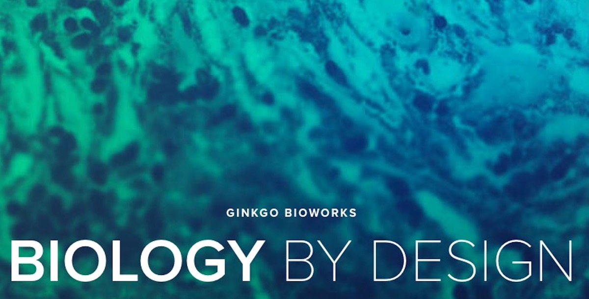 Ginkgo Bioworks: $290 Million In Funding To Expand Cell Programming ...