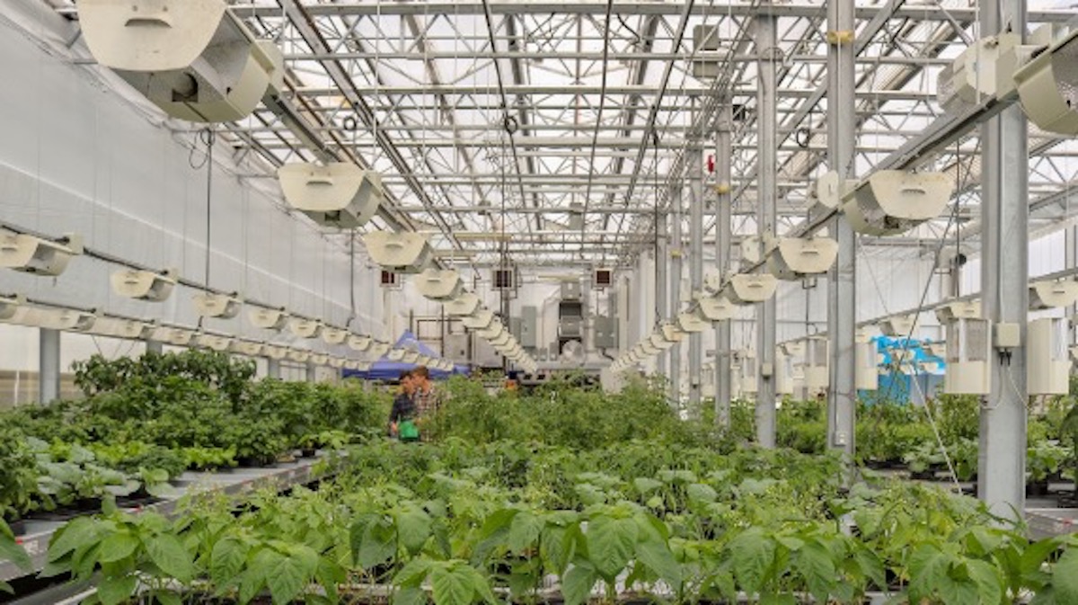 Cleantech Company Terramera Raises $45 Million