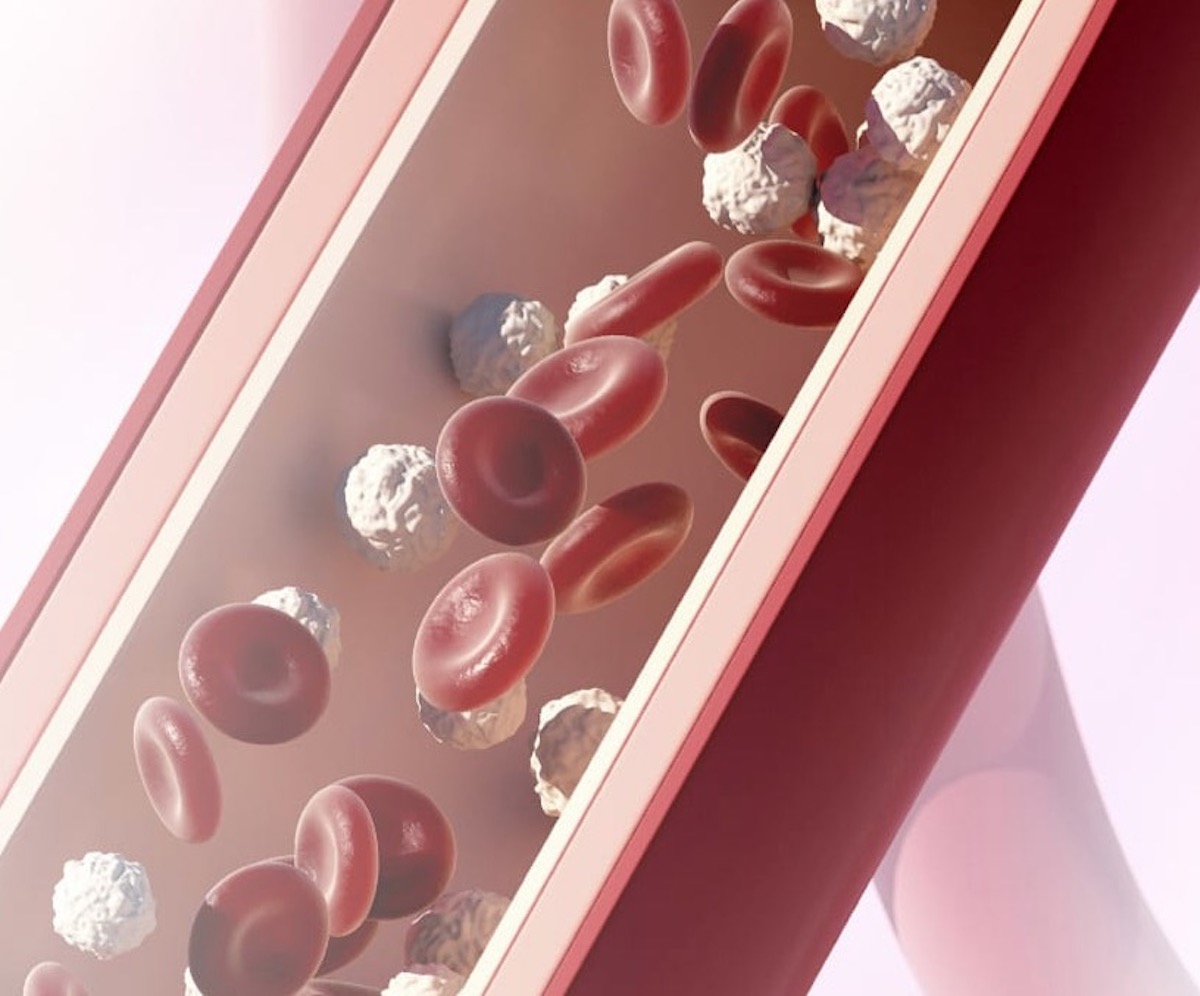 Veralox Secures $5.4 Million To Advance Development Of Therapeutics