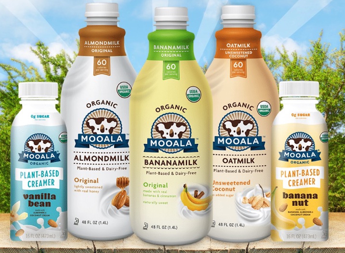 Plant-Based Milk And Creamer Company Mooala Closes $8.3 Million In Funding