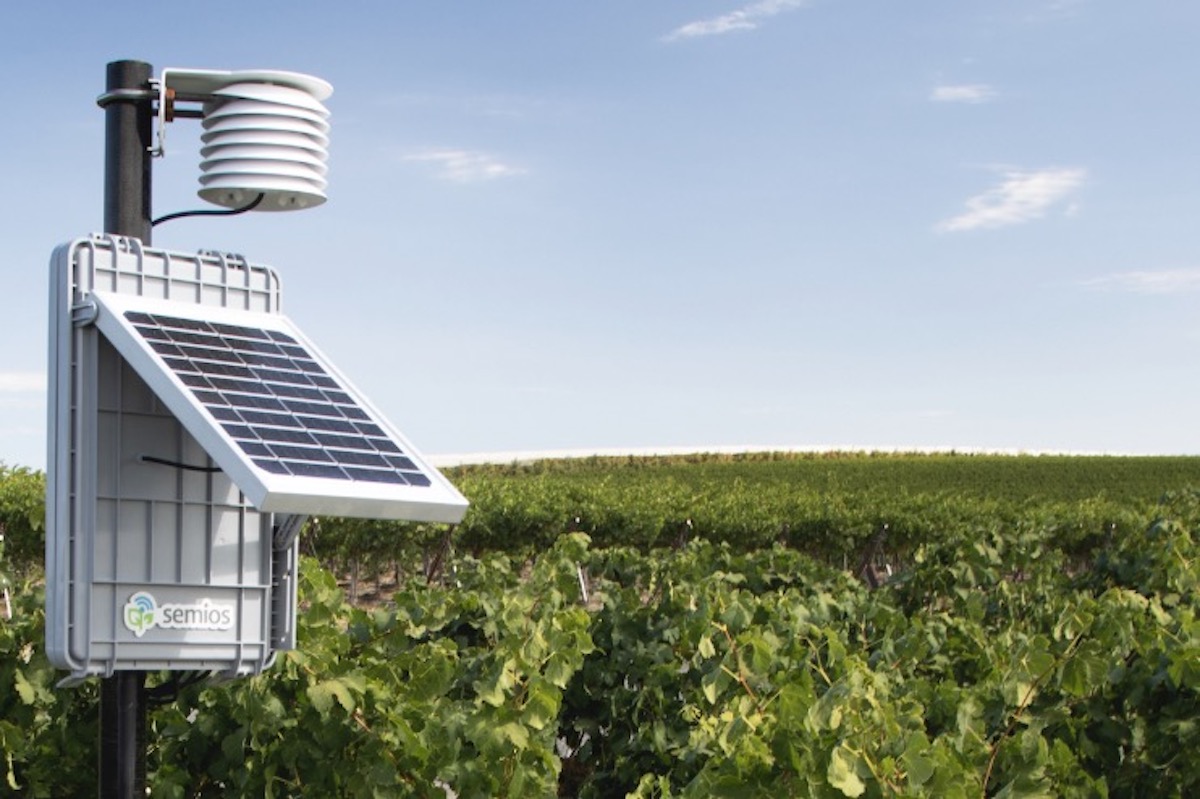 Semios Secures $75 Million To Expand IoT Network In Agriculture