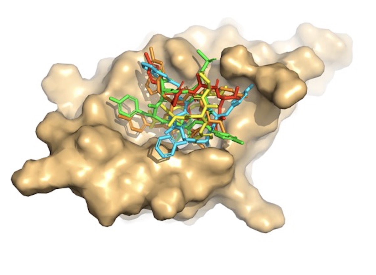 Macrocycle Drug Discovery Company Circle Pharma Raises $45 Million