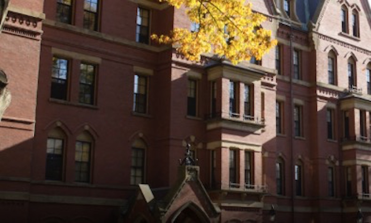 Harvard Student-Run Organization Building App To Prevent Diseases From ...