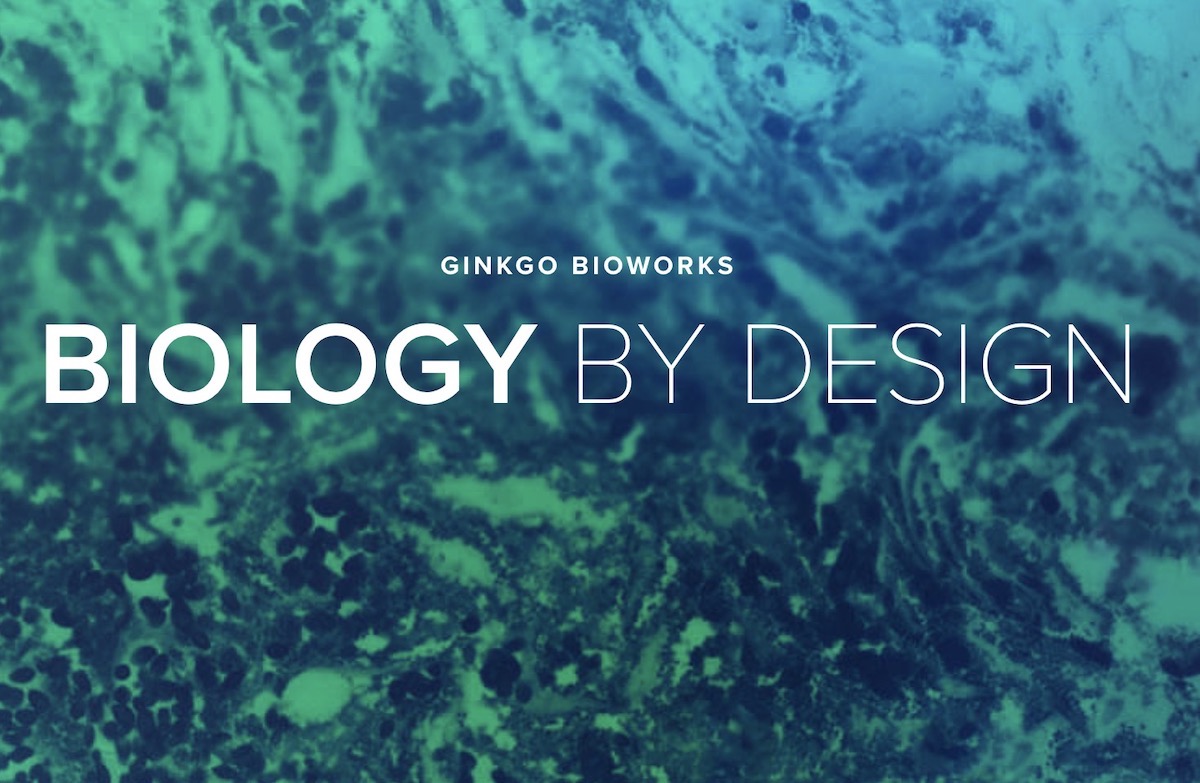 Cell Programming Company Ginkgo Bioworks Raises $70 Million