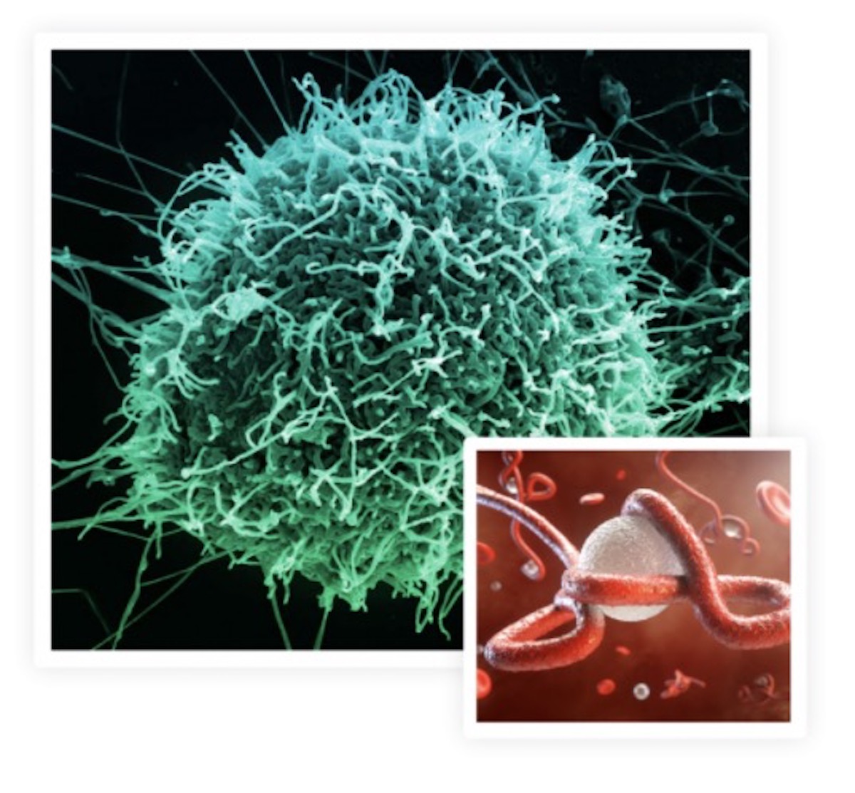 AI-Based Drug Discovery Company Atomwise Secures $123 Million