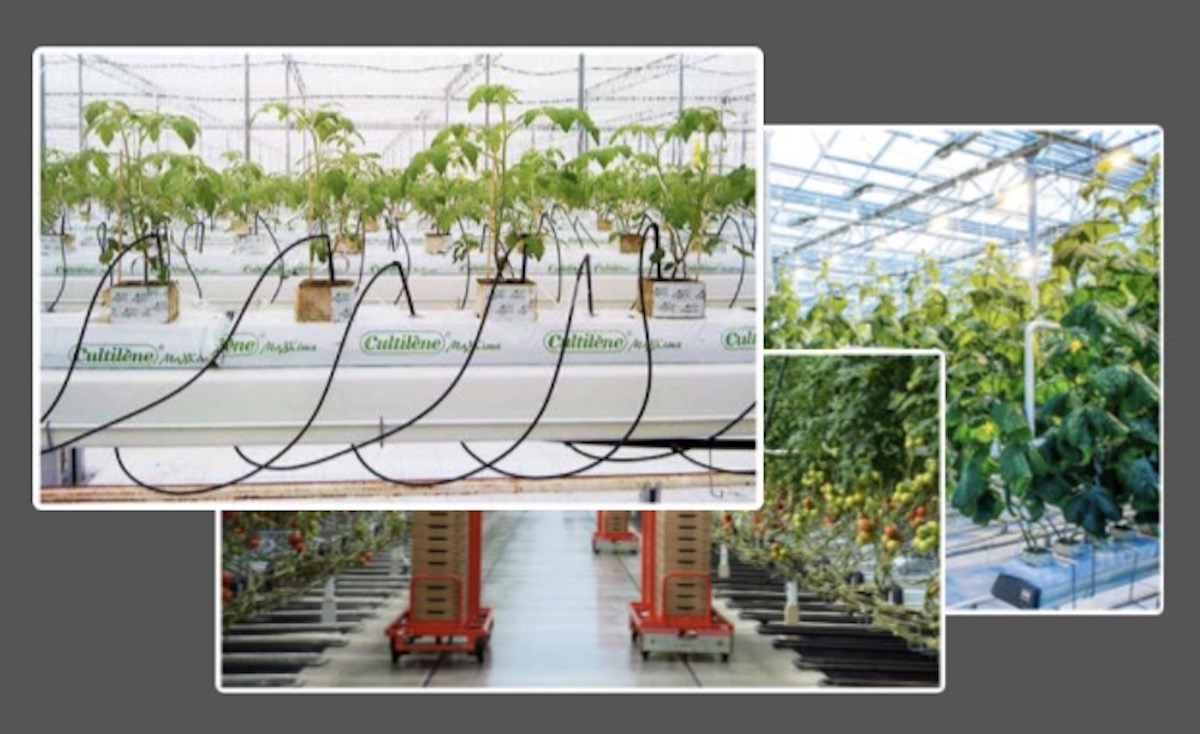 Intelligent Farming Robot Company Root AI Closes $7.2 Million In Funding