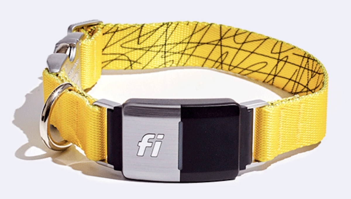 Smart Dog Technology Company Fi Raises $30 Million