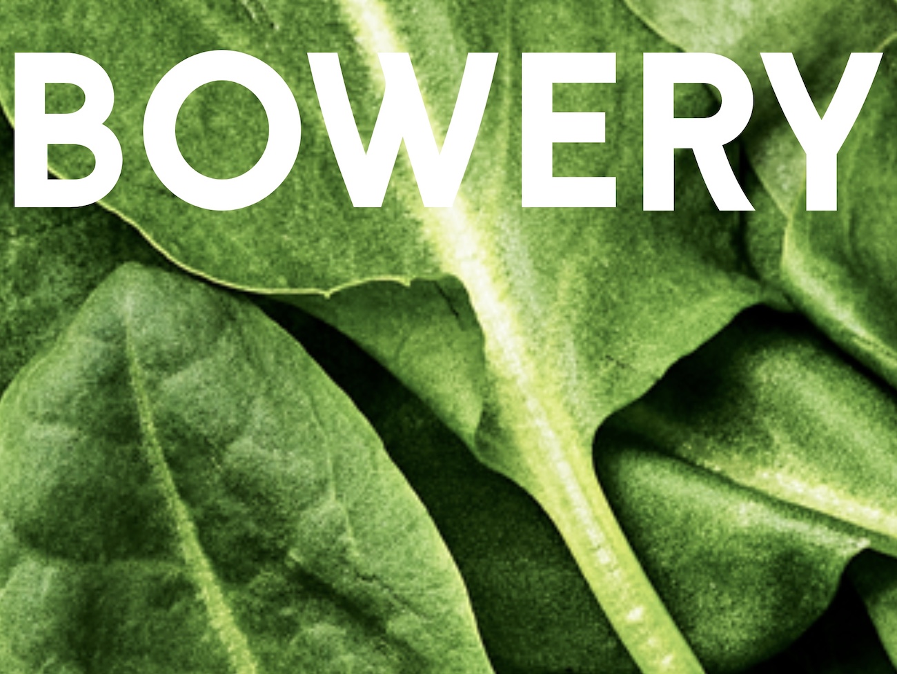 Bowery Farming: $300 Million And $2.3 Billion Valuation