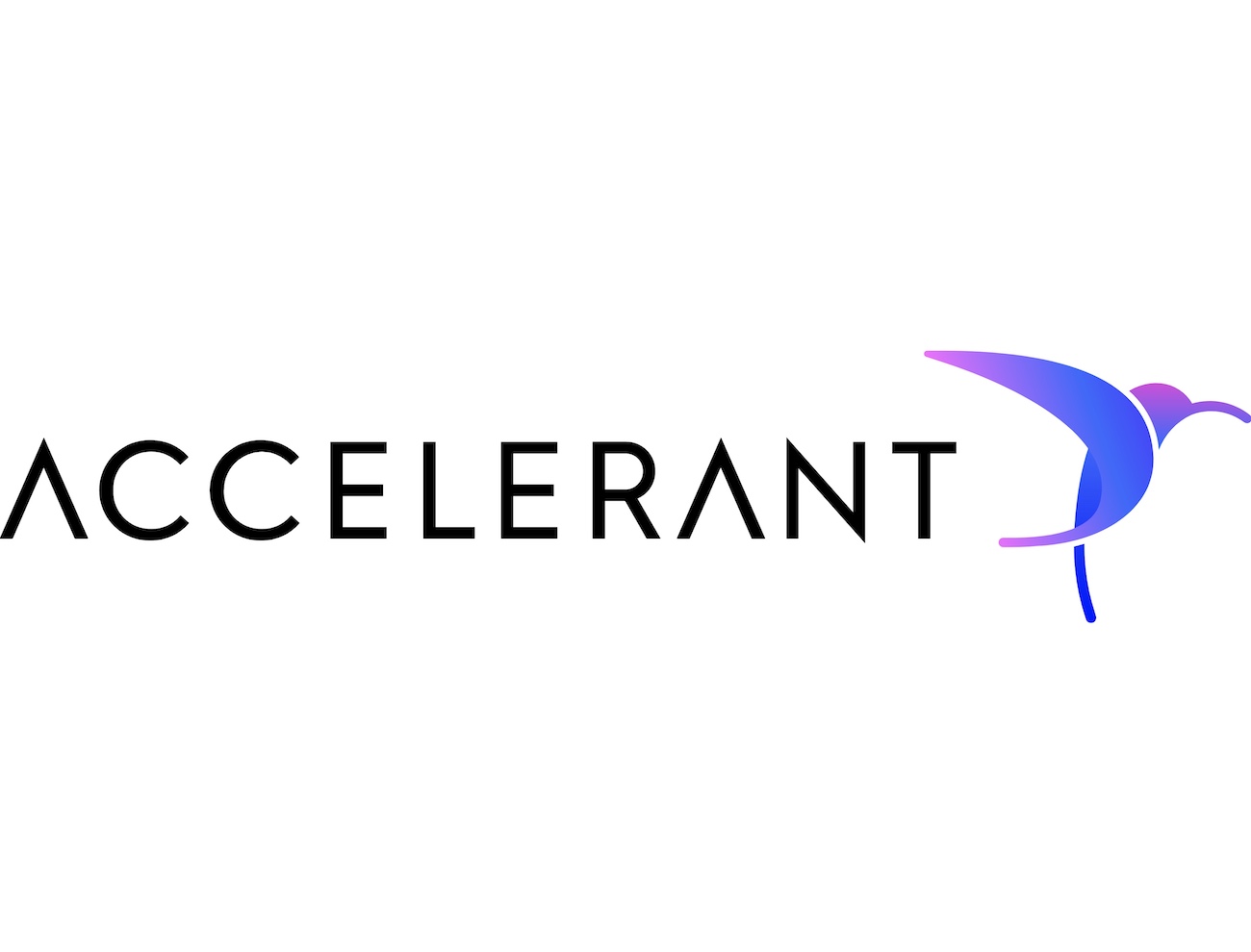 Insurtech Company Accelerant Recently Raised Over $190 Million