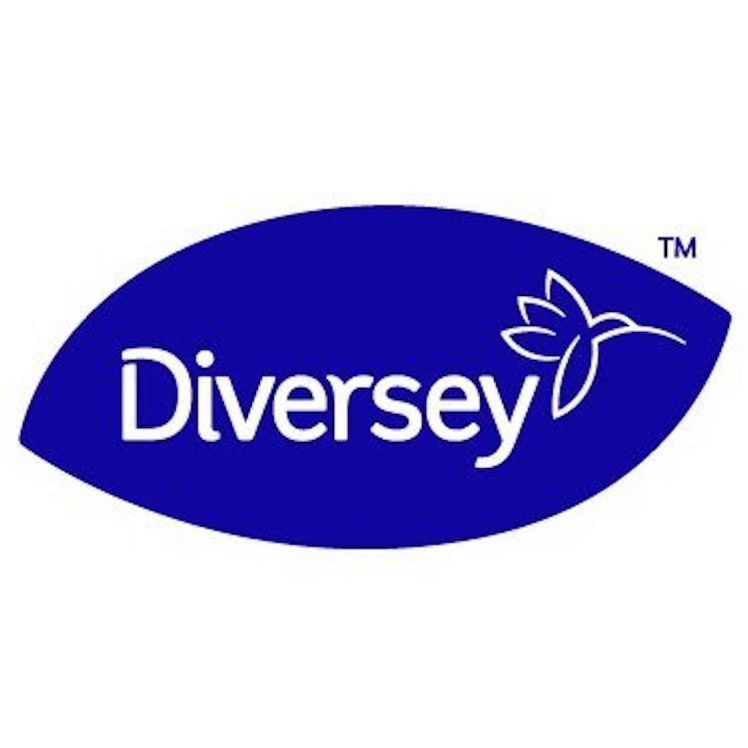Why Solenis Is Buying Diversey For About $4.6 Billion (DSEY)