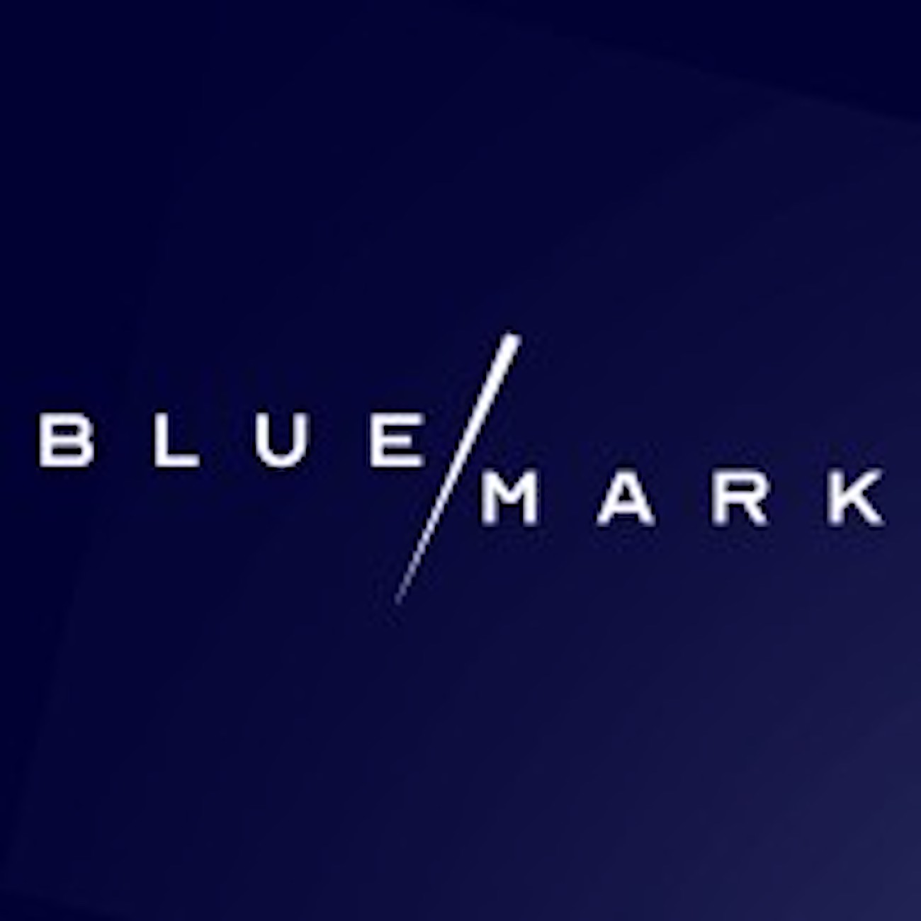 BlueMark: Impact Verification And Intelligence Company Secures $10 Million