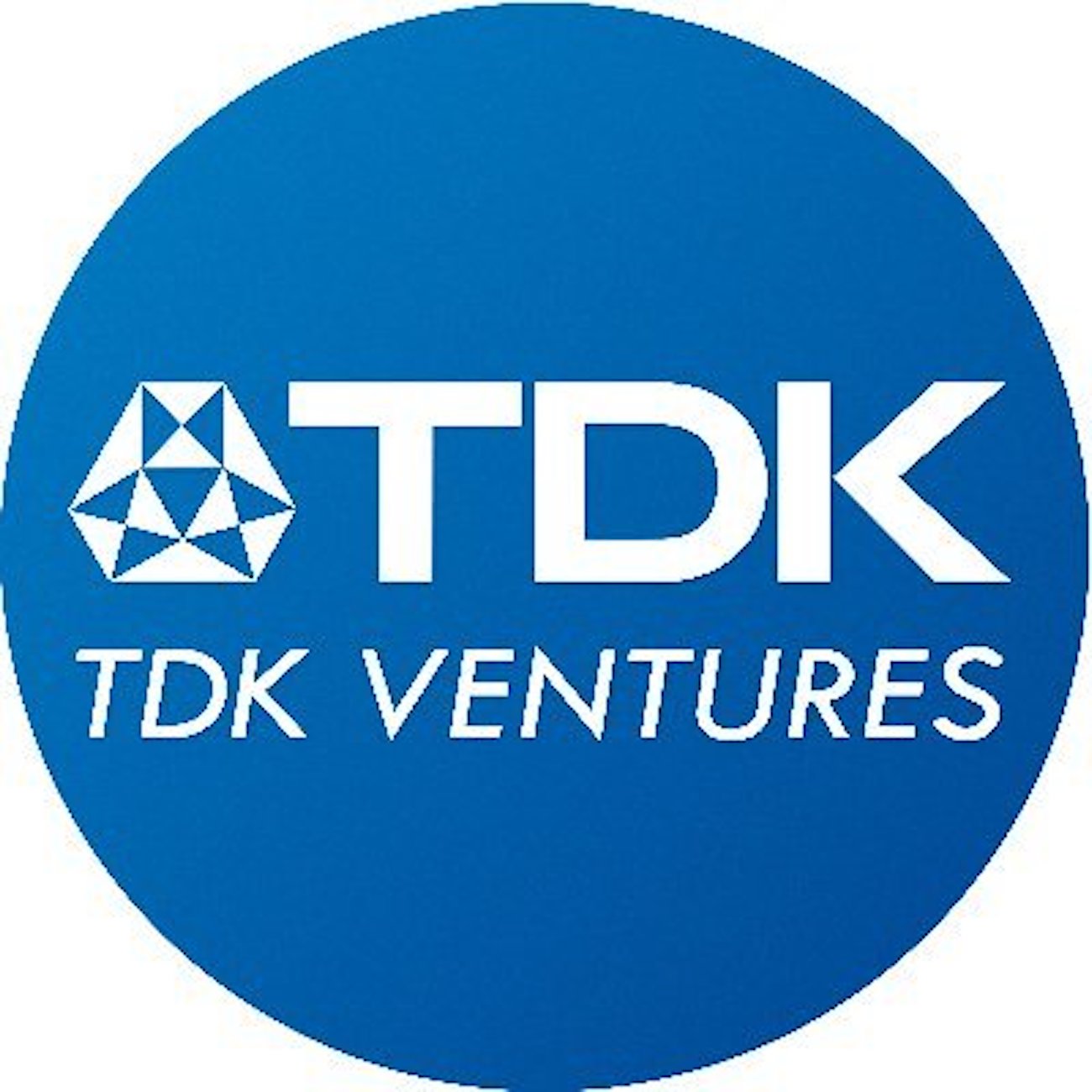 TDK Ventures Backs Ethereal Exploration Guild Series A To Advance Fully ...