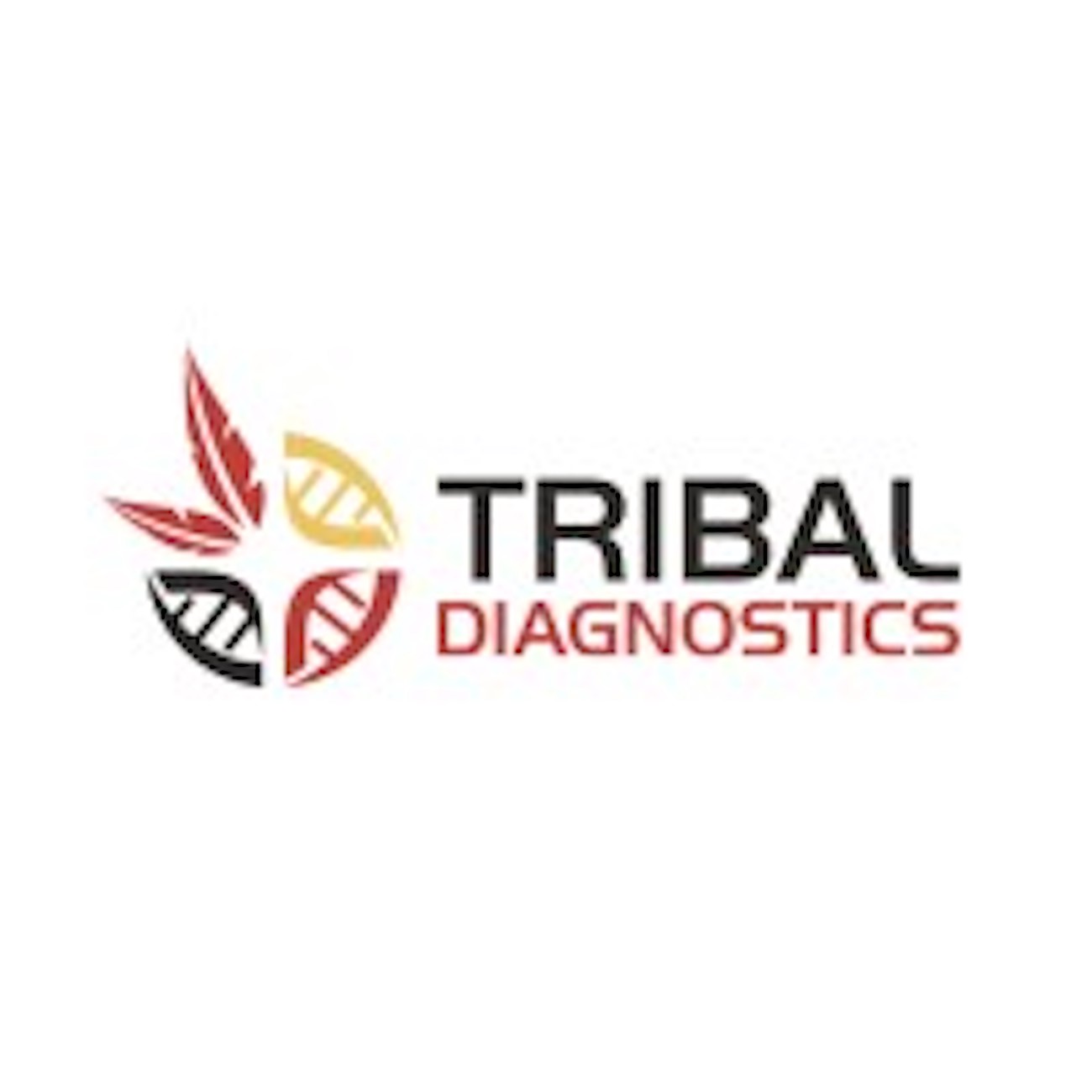 Tribal Diagnostics: Native American-Owned Medical Diagnostics Company ...