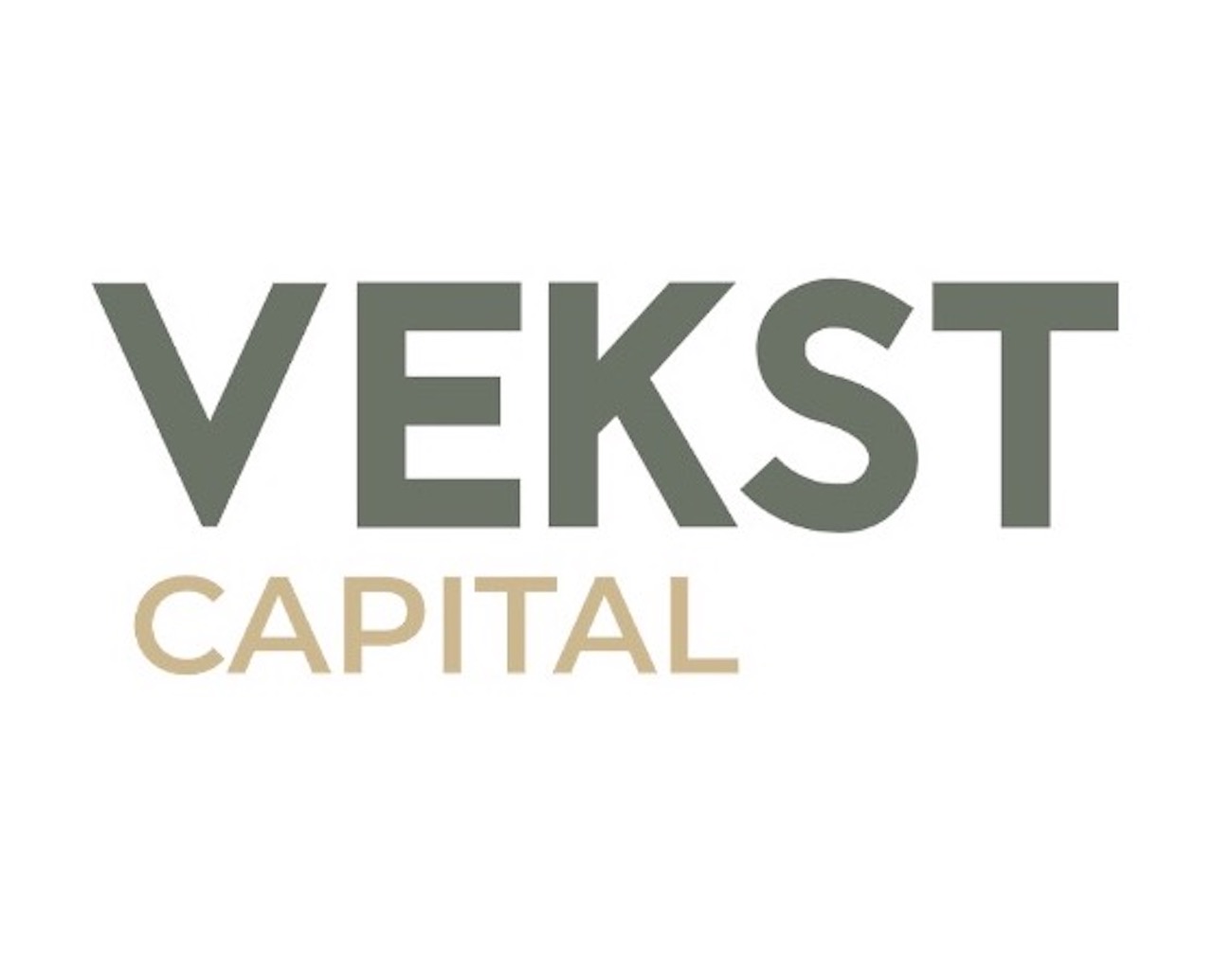 Vekst Capital To Invest In West Michigan Businesses