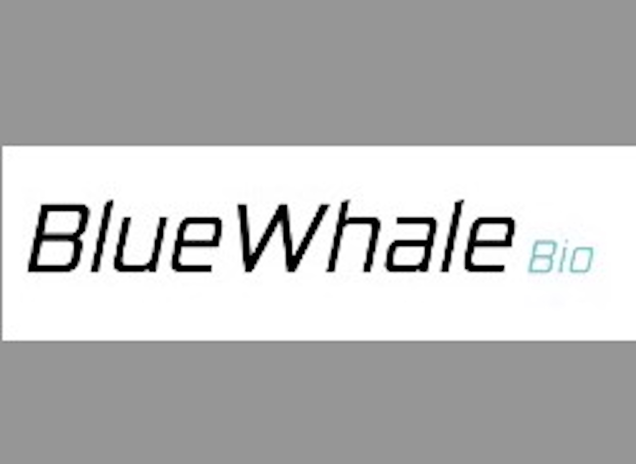 BlueWhale Bio: University Of Pennsylvania Gene Therapy Spinoff Company Raises $18 Million