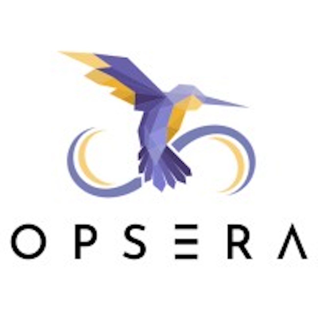 Opsera: Unified DevOps Platform Company Closes $12 Million In Funding