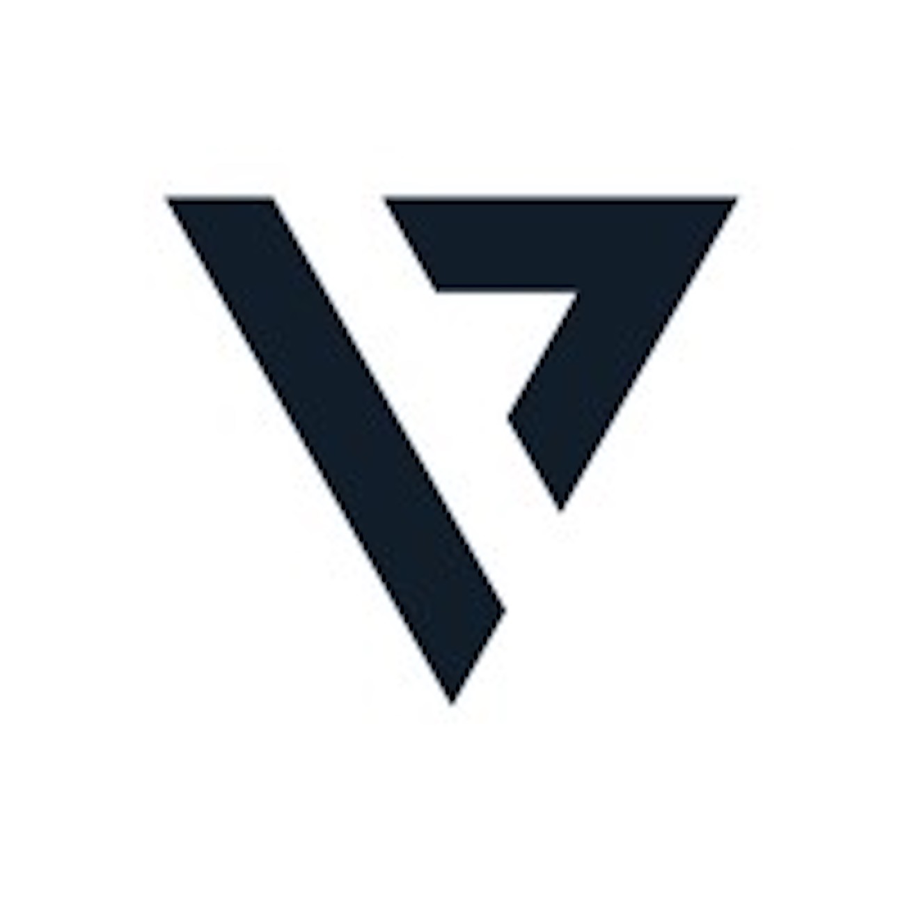 Vyzer: Digital Wealth Management Platform Company Closes $6.3 Million