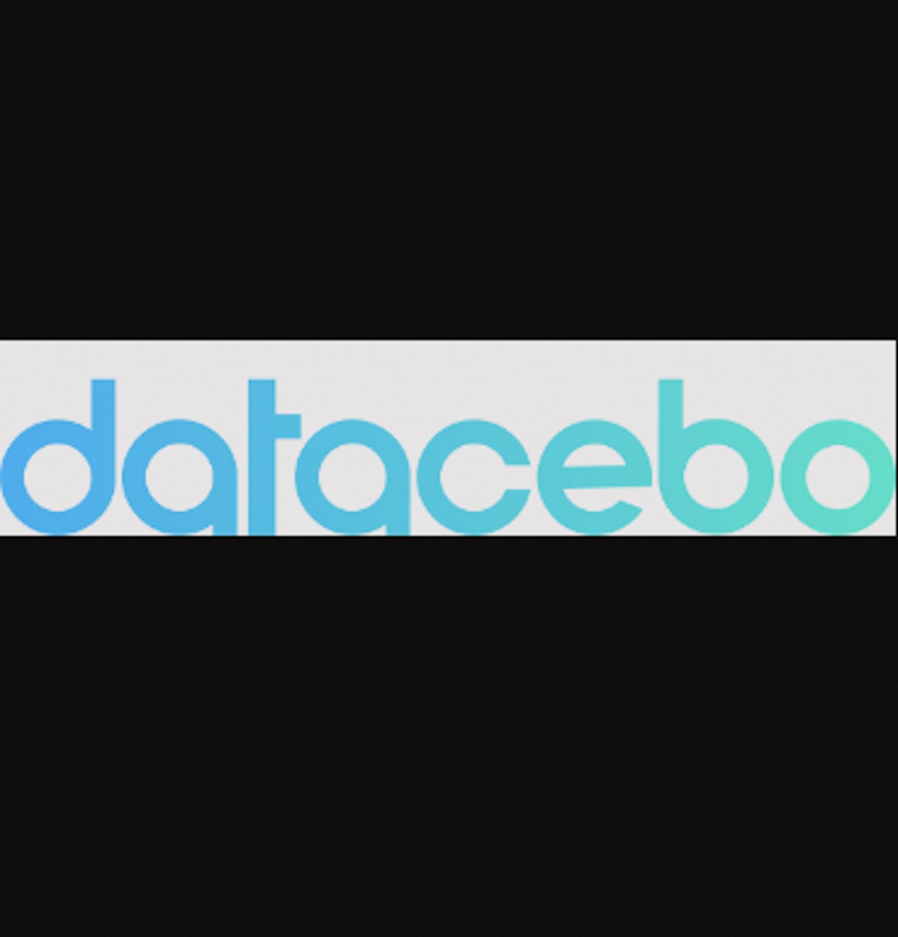 DataCebo: $8.5 Million Raised To Help Increase Developer Productivity ...