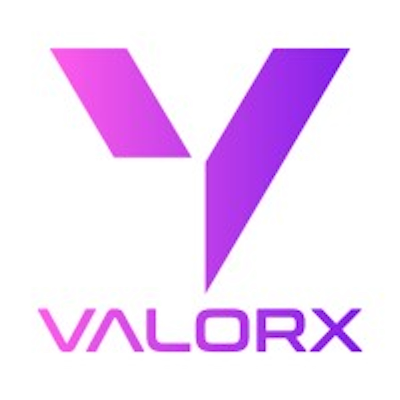 Valorx: Improving Data Quality And Enabling End-User Productivity