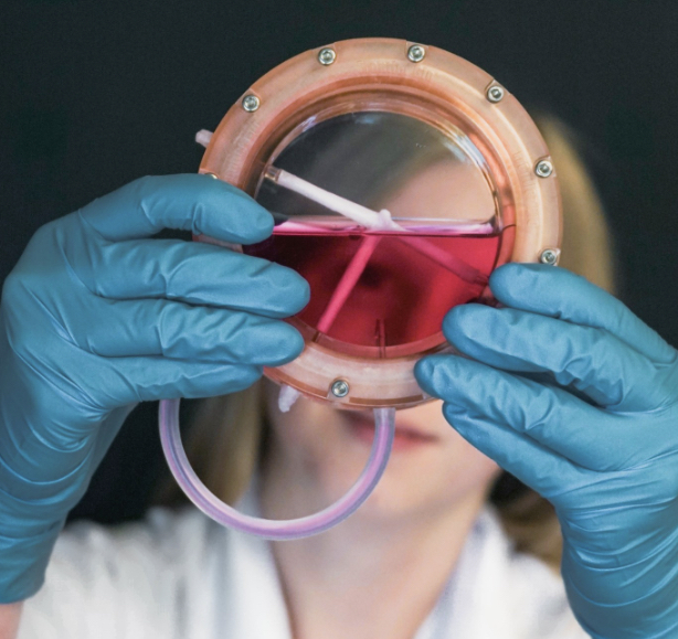 Frontier Bio: Providing Animal Testing Alternatives And Supplying ...