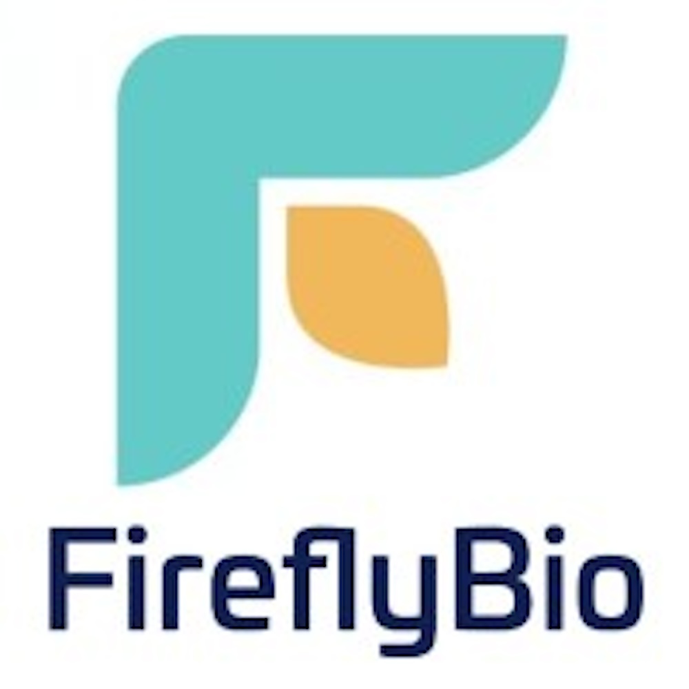 Firefly Bio Launches With $94 Million To Treat Cancer With Degrader ...