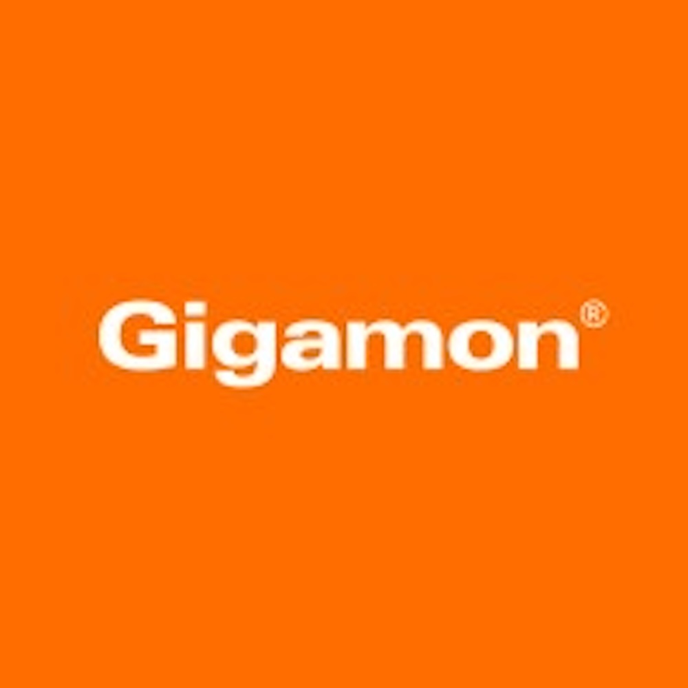 Gigamon Raises Significant Strategic Investment From Siris