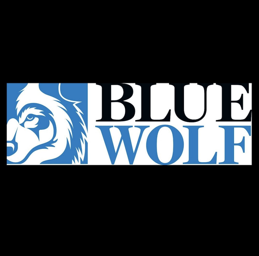 Blue Wolf Capital: David Hecht Named As Operating Partner