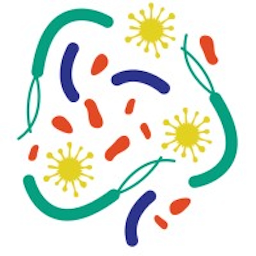 Siolta Therapeutics: $12 Million Raised To Develop Defined-Consortia ...