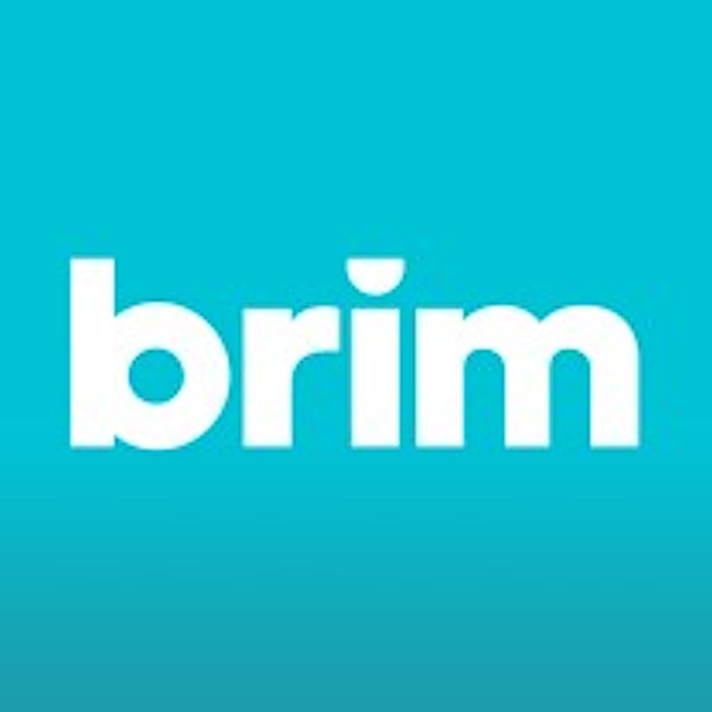 Brim Financial: Fintech Infrastructure Company Raises $85 Million