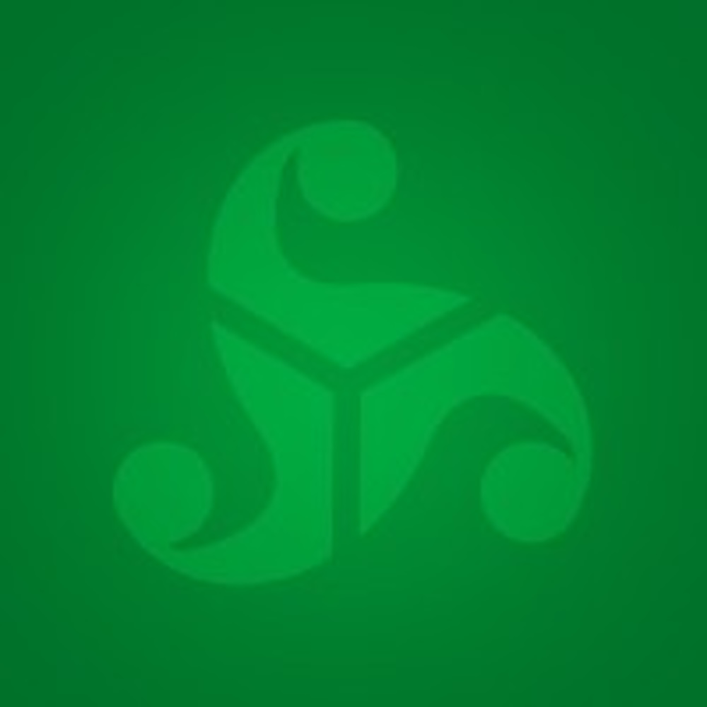 Bernhard Capital: Jeff Baudier Named As Senior Managing Director