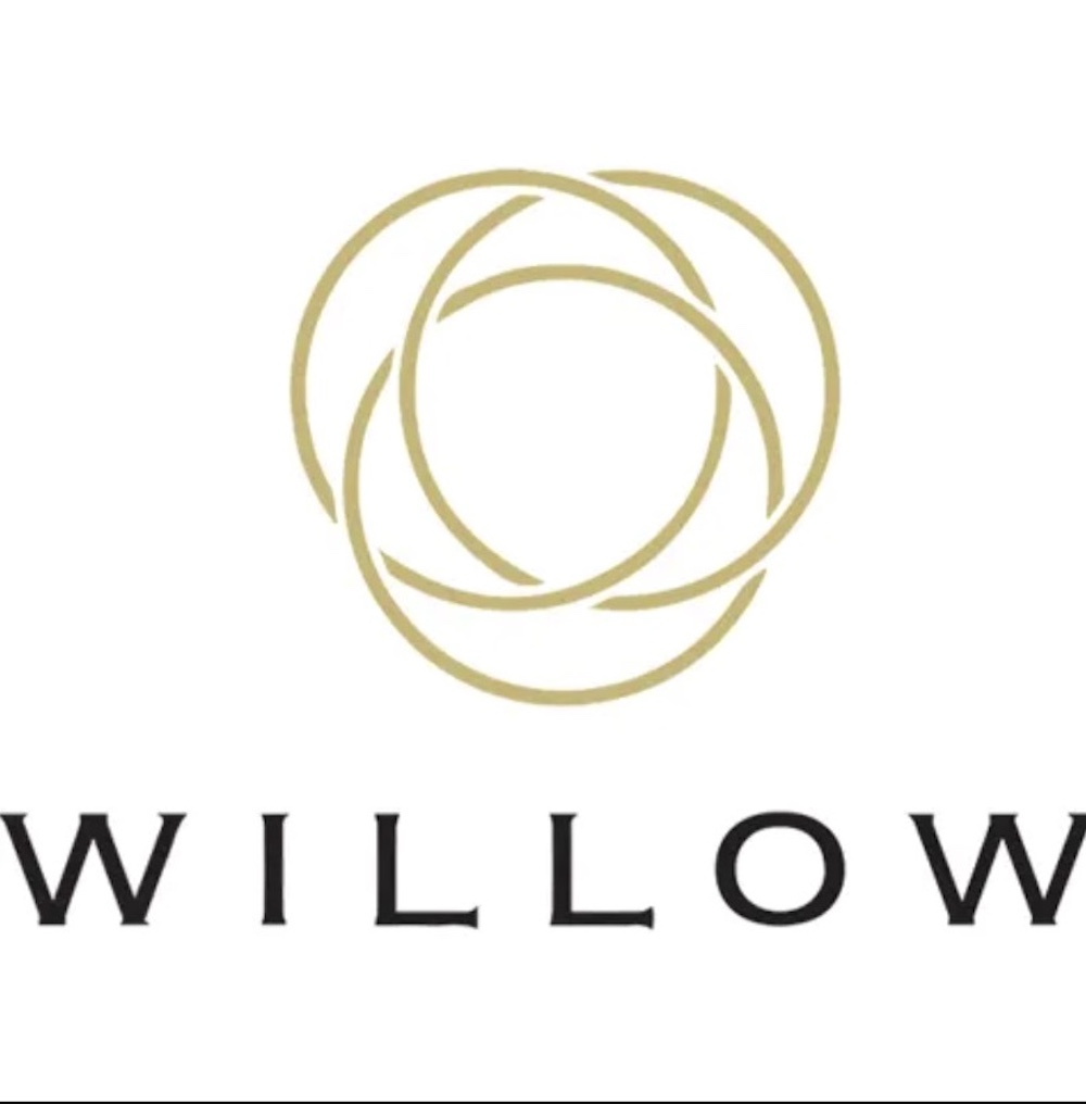 BlackRock Invests In Willow Network To Help Financial Advisors Serve ...