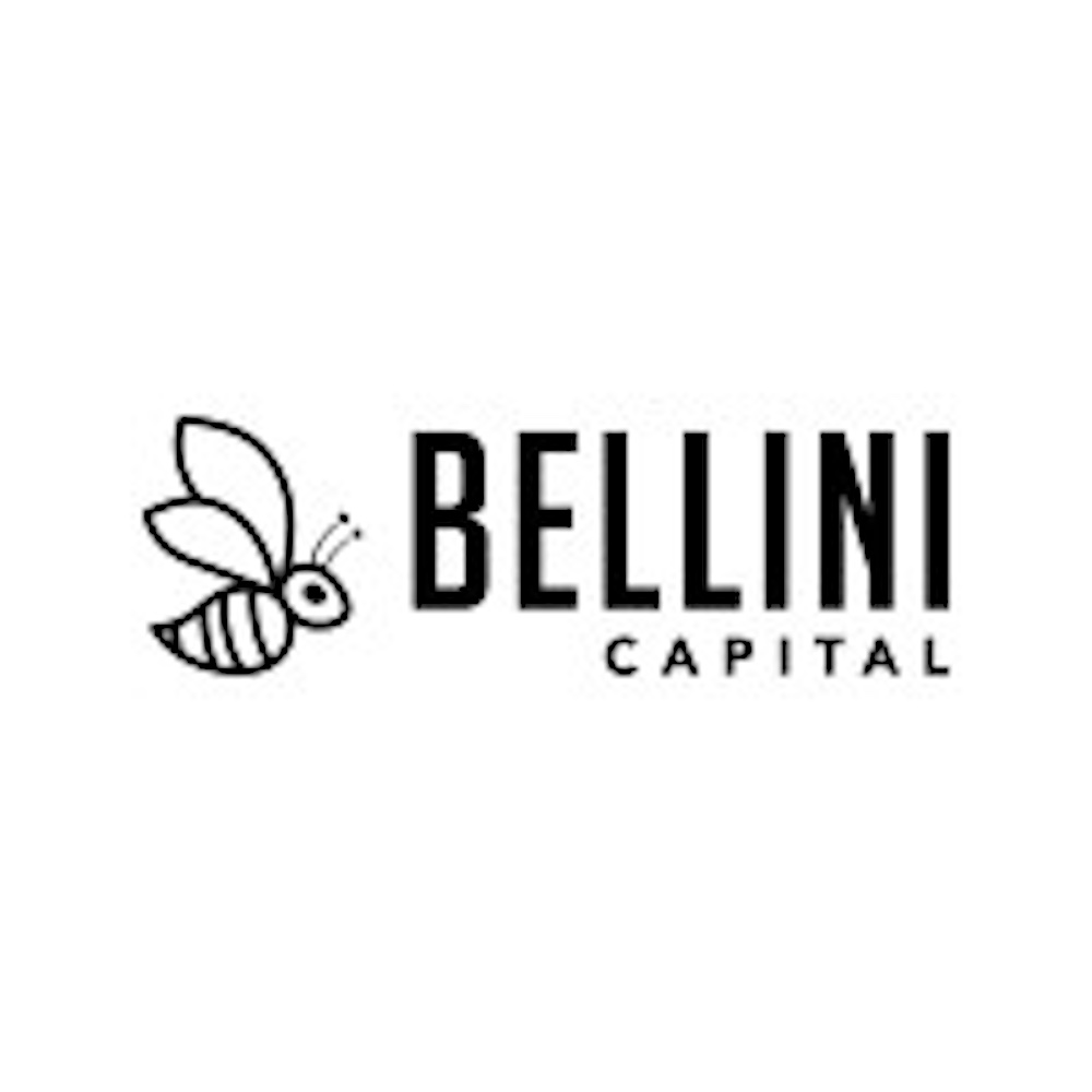 Bellini Capital: This Firm Invests In Companies Making The World Safer ...