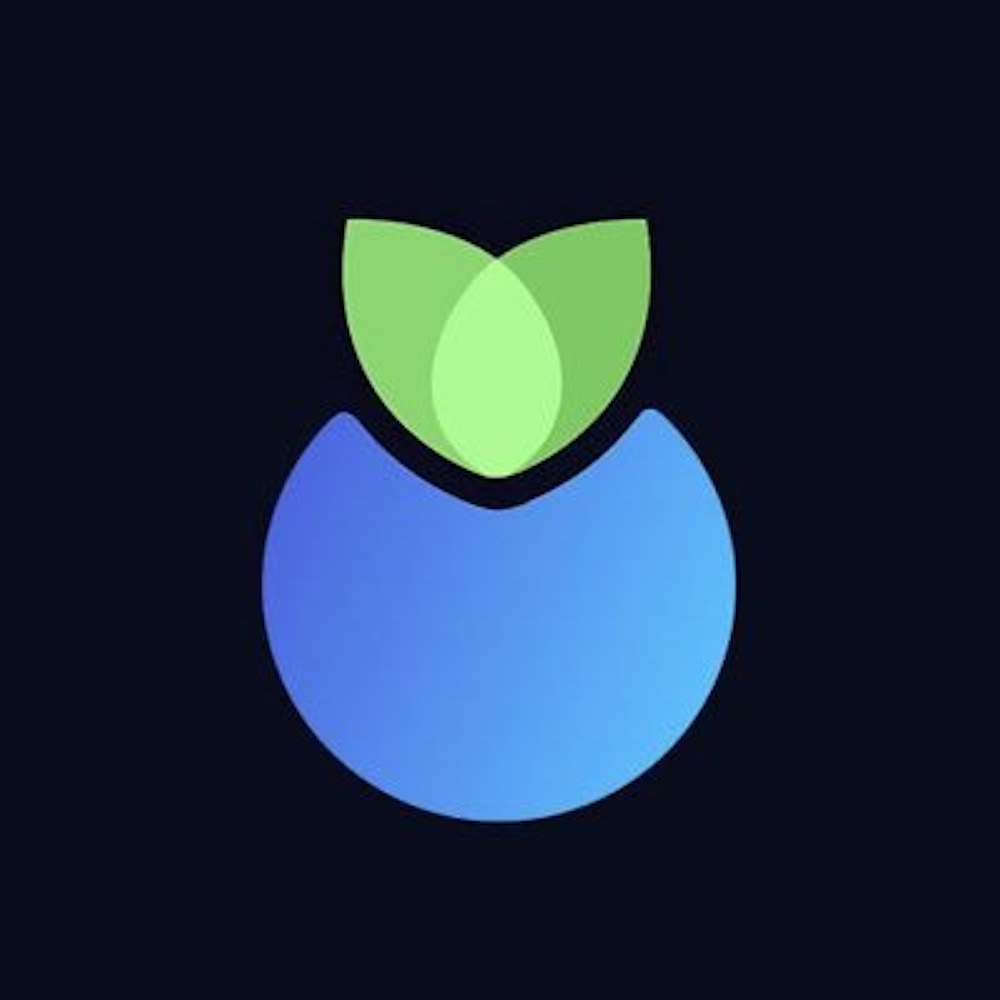 Blueberry Protocol: Decentralized Prime Brokerage Terminal Company Secures $2.5 Million