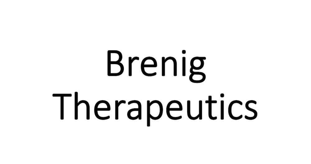 Brenig Therapeutics: Neurology-Focused Drug Development Company Secures ...