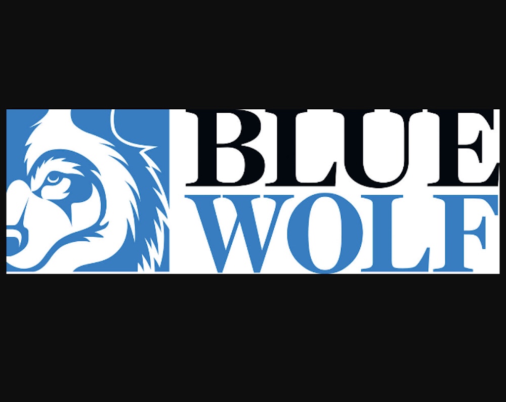 Blue Wolf Capital Partners Creates New CDMO Platform