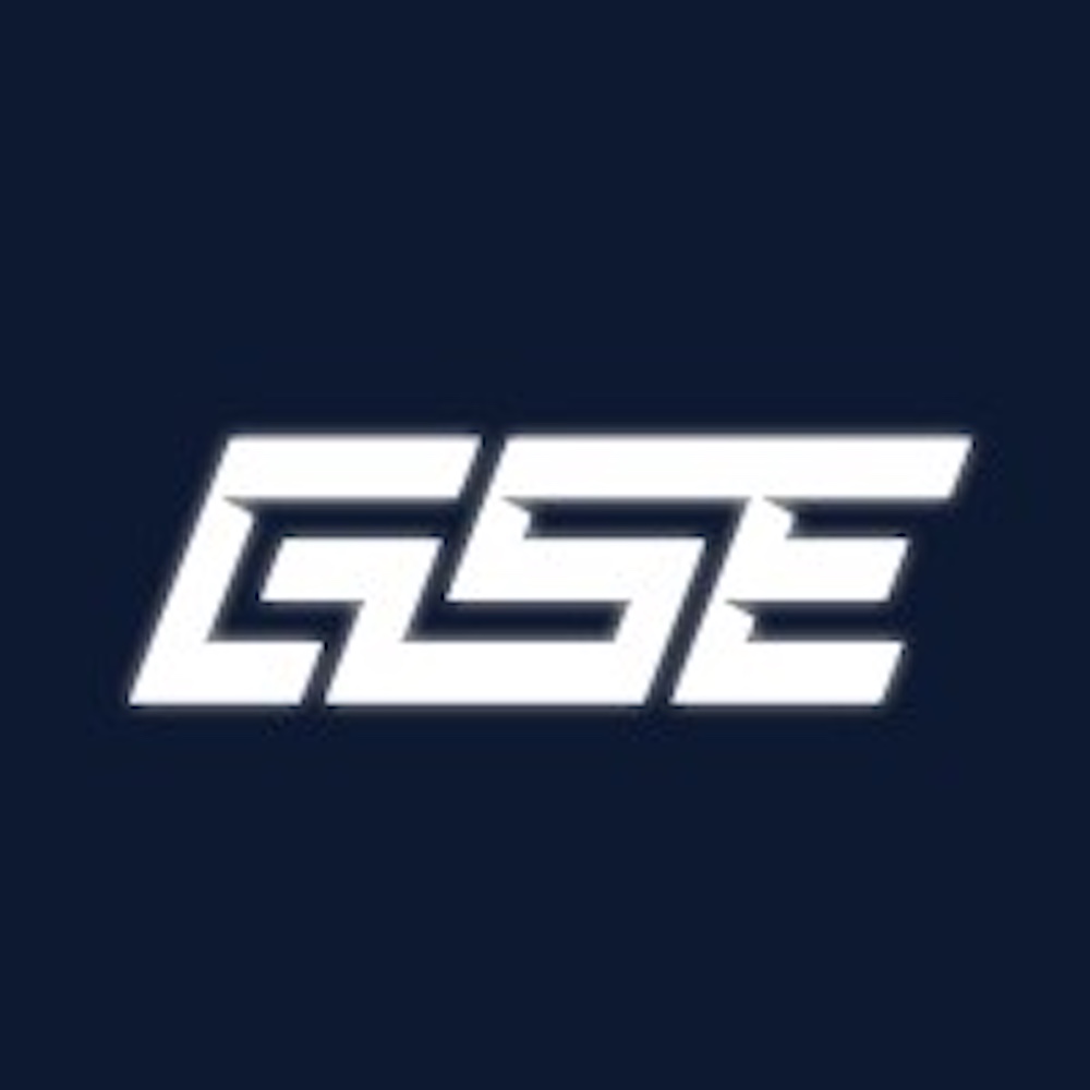 Sports Talent Management Company GSE Worldwide Raises Strategic Investment