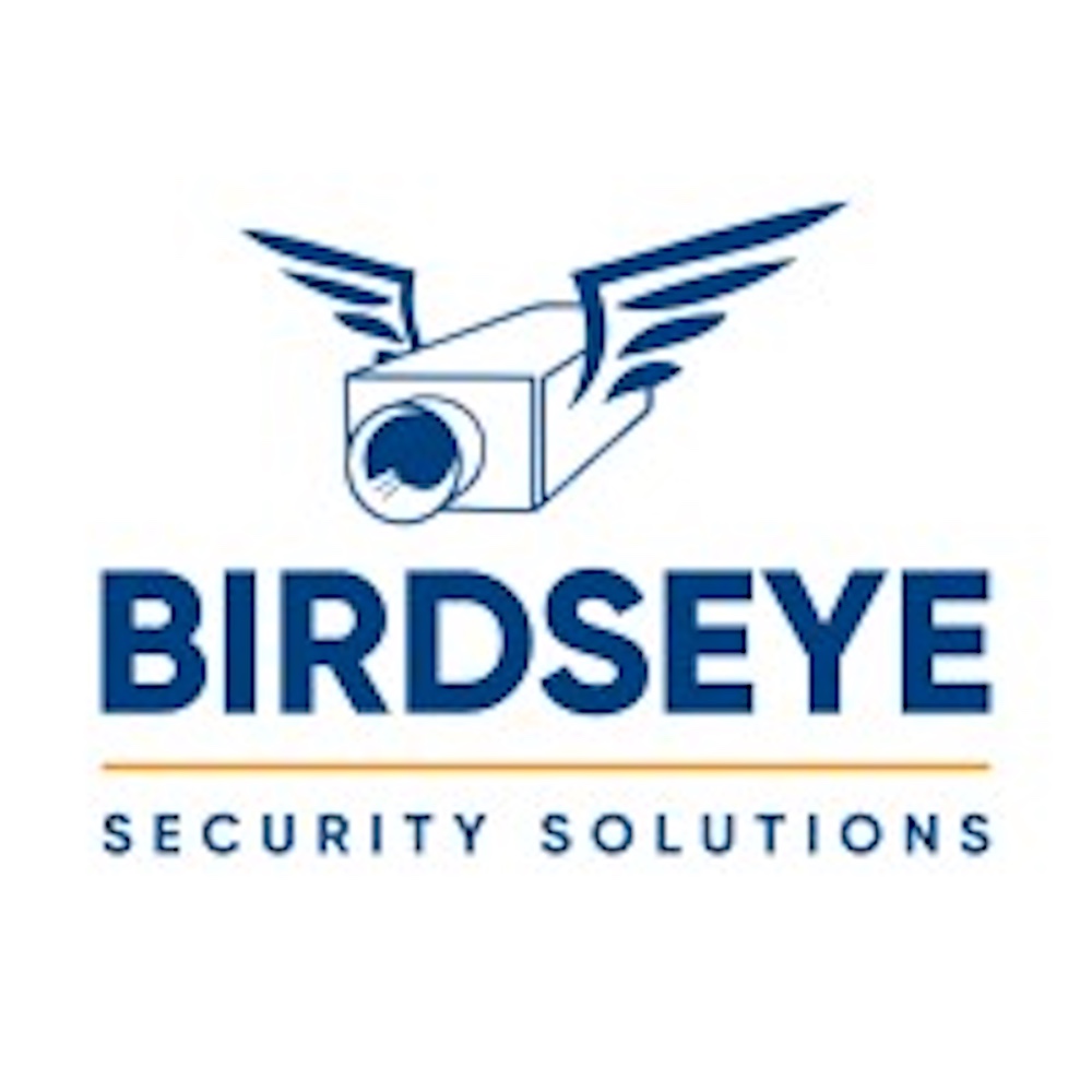 Birdseye Security Solutions: Equity Investment Raised From GreyLion ...