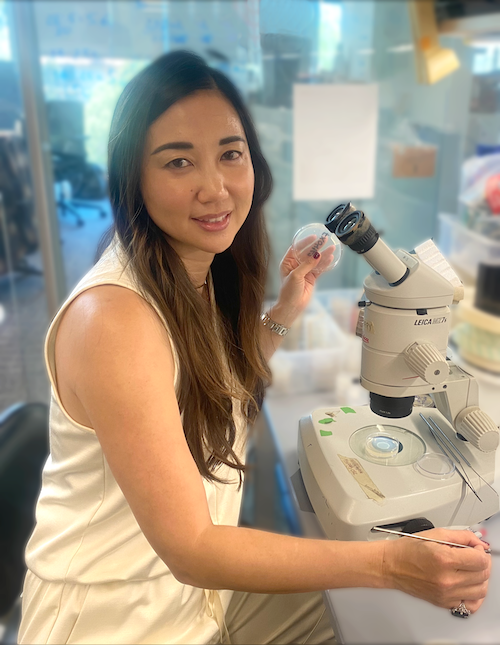 Holoclara: Interview With Co-Founder & CEO Dr. Andrea Choe About The ...