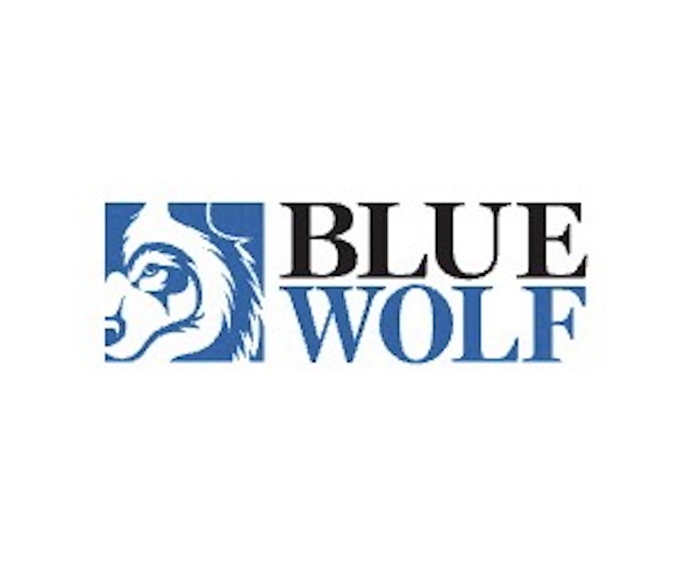 Blue Wolf Capital: Three New Partners And New Promotions
