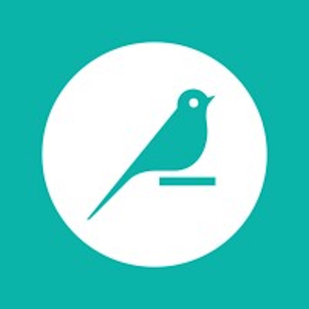 Dataiku: Universal AI Platform Surpasses $300 Million In ARR