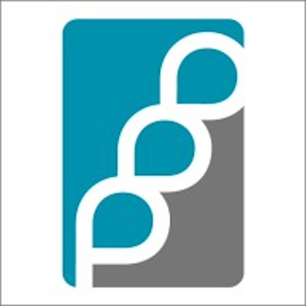 Pettinelli Financial Partners: Comprehensive Organizational Realignment ...