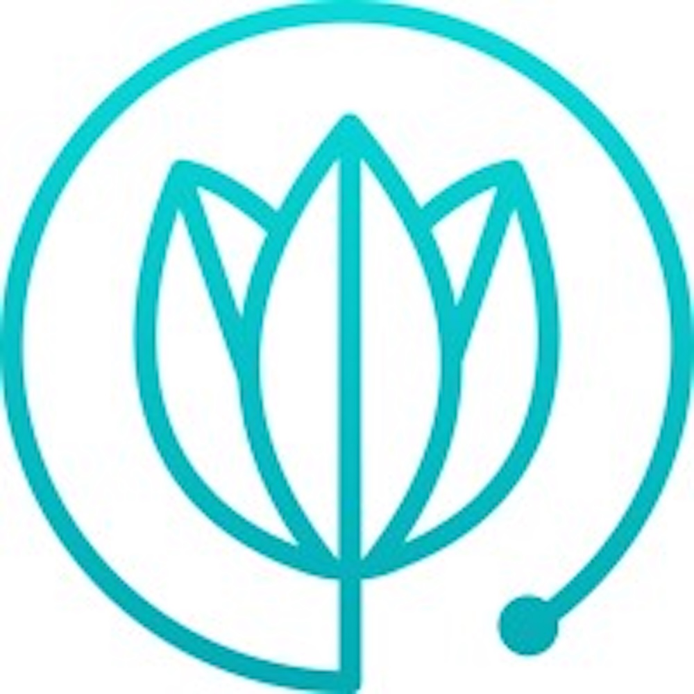 Relief Cardiovascular: $12 Million (Series A) Raised To Develop ...