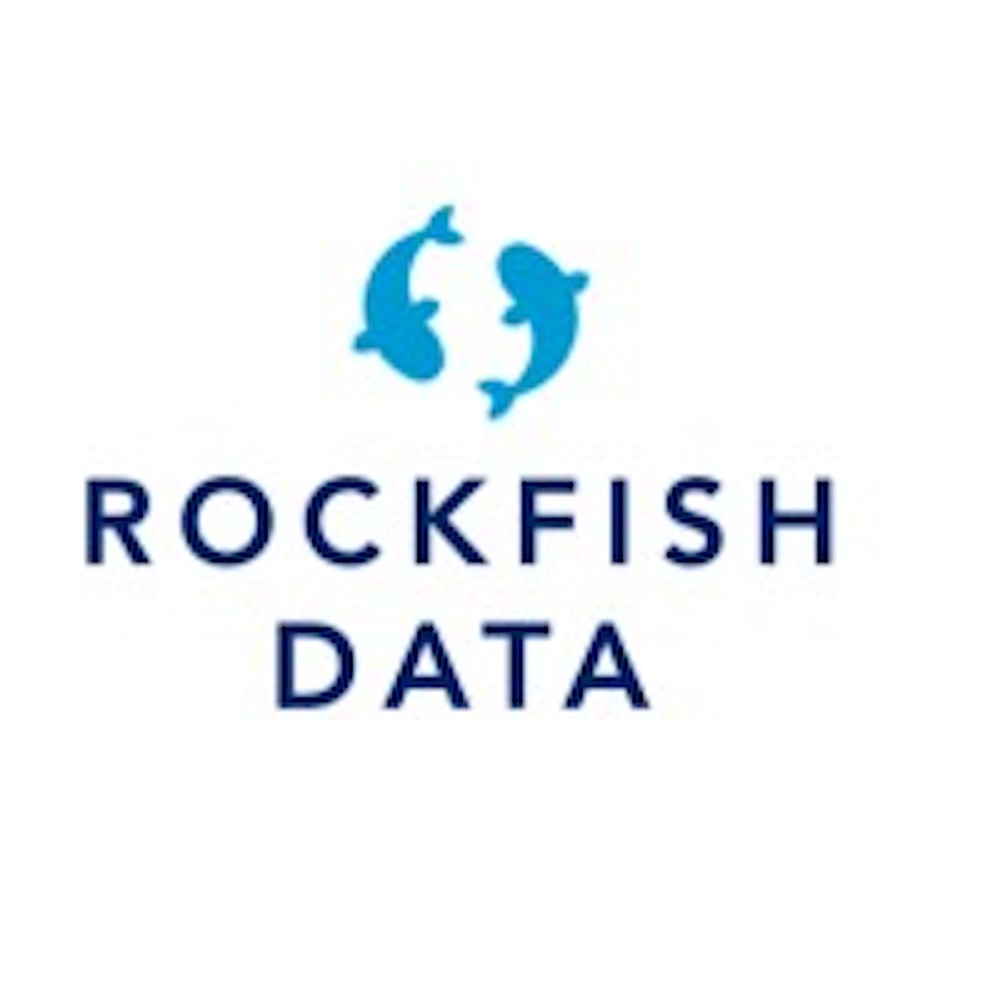Rockfish: $4 Million (Seed) Raised For Advancing Synthetic Generation ...
