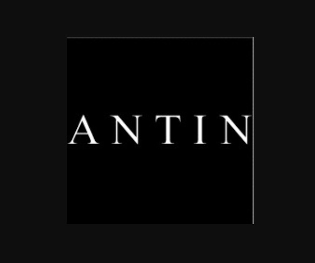 Antin Infrastructure Partners: Guillaume Friedel And Ashkan Karimi ...