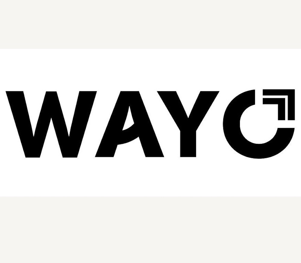 Wayo: Interview With Co-Founders Julia Xu And Mandy Chow About The ...