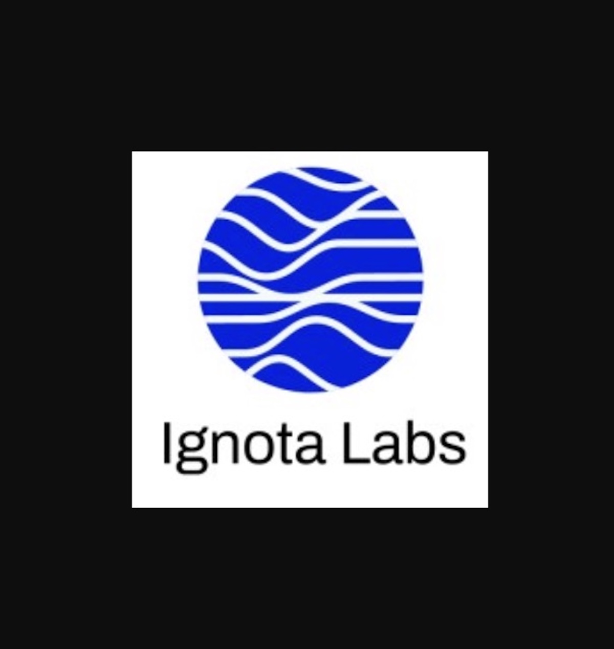 Ignota Labs: $6.9 Million (Seed) Raised For AI-Based Drug Turnaround Company