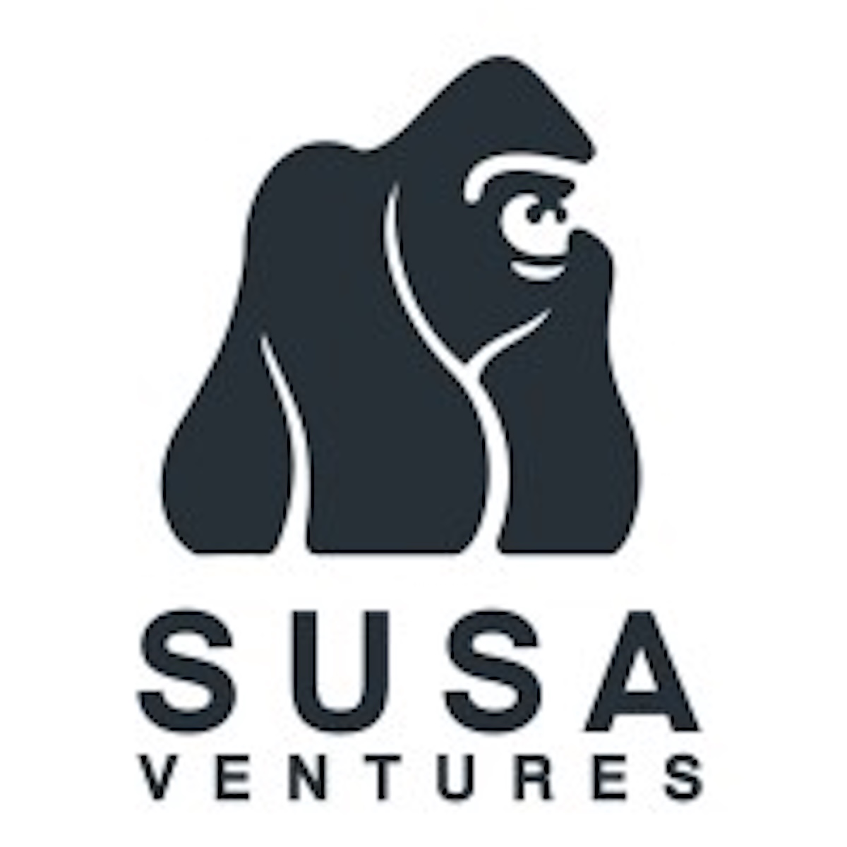Susa Ventures: $175 Million Fund V Closed For Helping Seed-Stage Founders